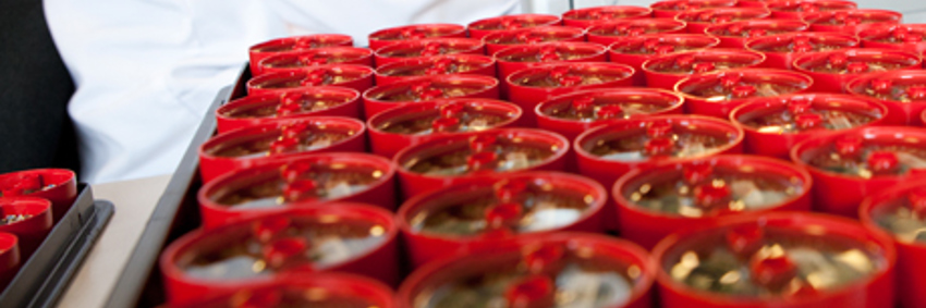 IECEx and INMETRO approvals for the PR 5333A and the PR 5333D